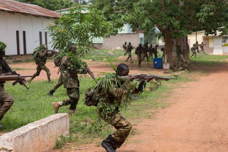 EUTM RCA 7 - Eurocorps